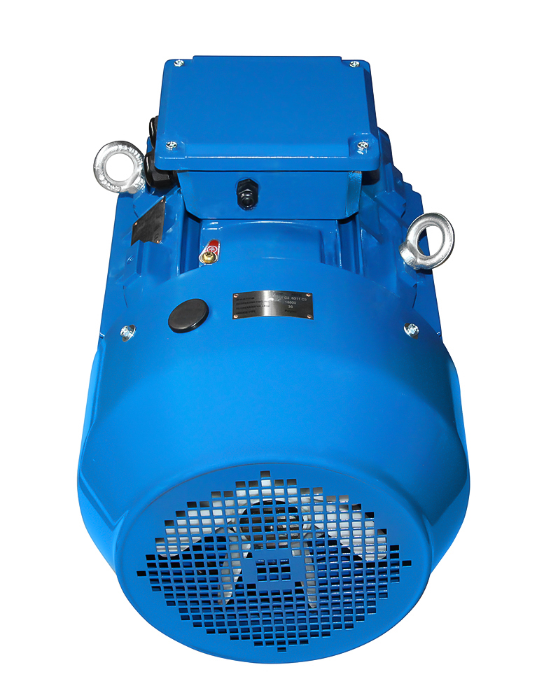 Motor eléctrico IE5 180M-2, 22 kW, 2 polos, B35