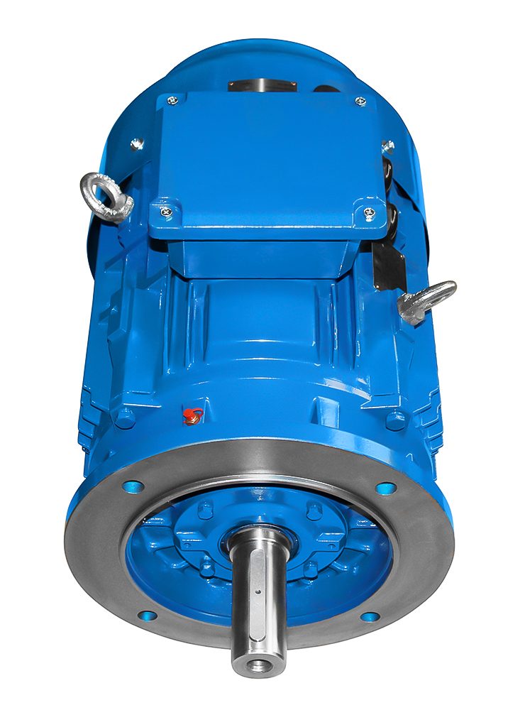 Motor eléctrico IE5 225S-4, 37 kW, 4 polos, B35